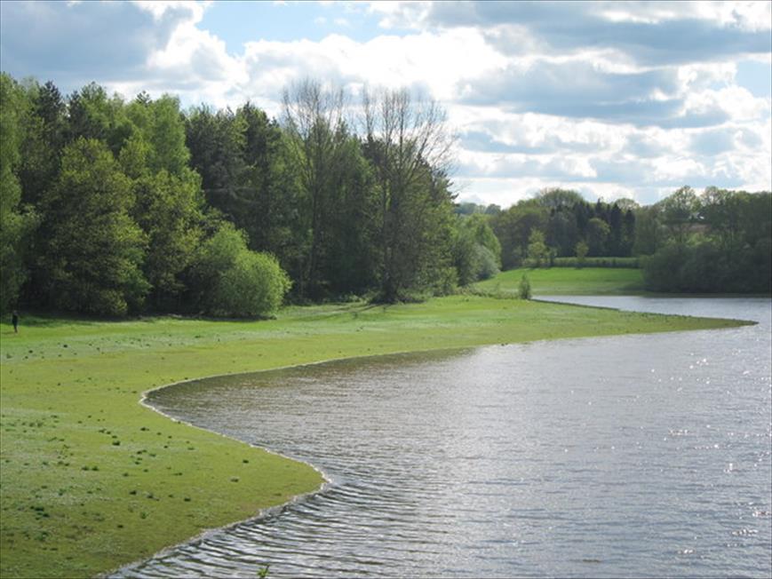 Bewl Water | Day Trips | Bayliss Executive Travel