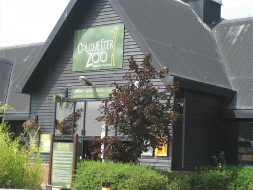Colchester Zoo